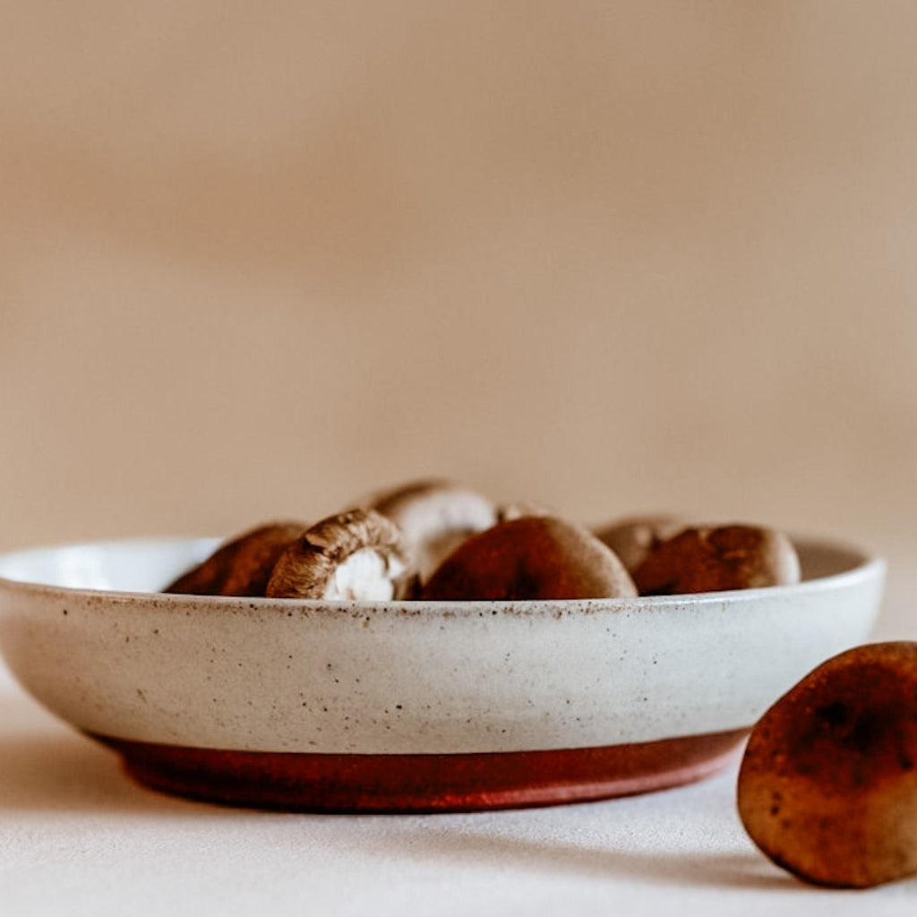 The Daily Ritual Pasta Bowl - The Ojai Collection – Ritual Ceramics Studio